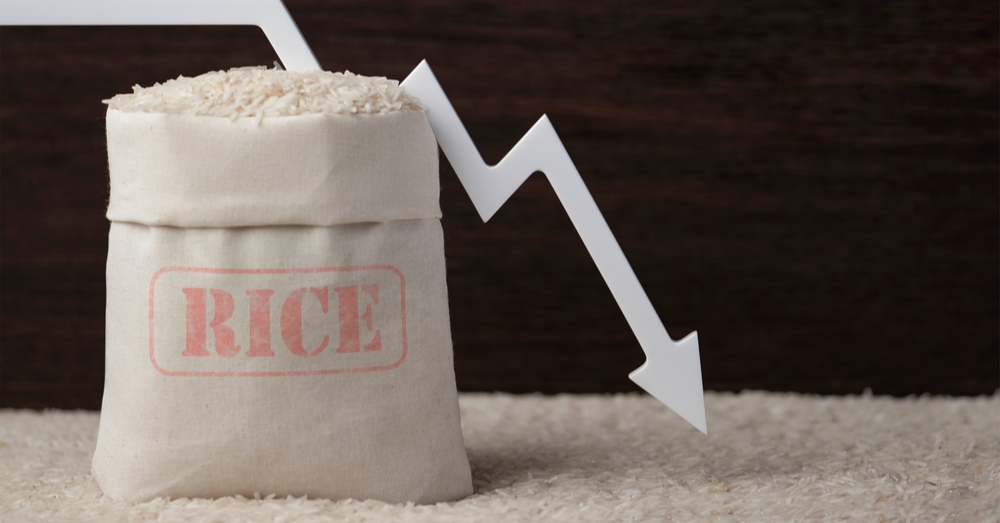 How Much Rice Will Suffice To Address The Global Shortage | I3investor